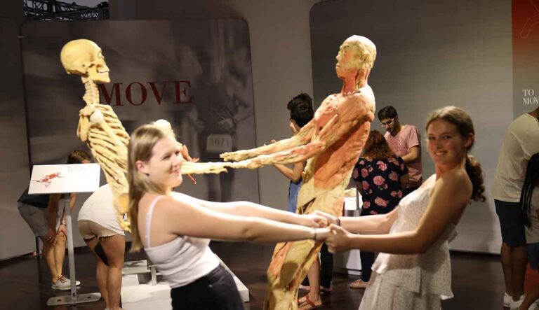 Bodies: The Exhibition Las Vegas Guide 2026: Tickets, Hours & Tips