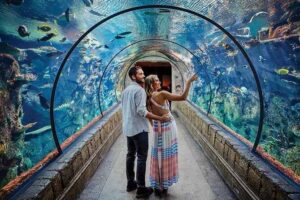 Shark Reef Aquarium at Mandalay Bay Las Vegas: Tickets, Sharks & Tips