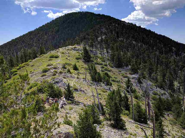 20 Must-Do Best Hikes Near Las Vegas In 2026